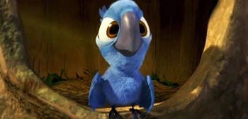Blu/Galería | Wiki Río | Fandom