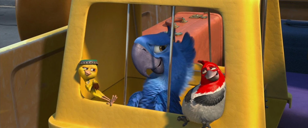 Nico | Rio Wiki | Fandom