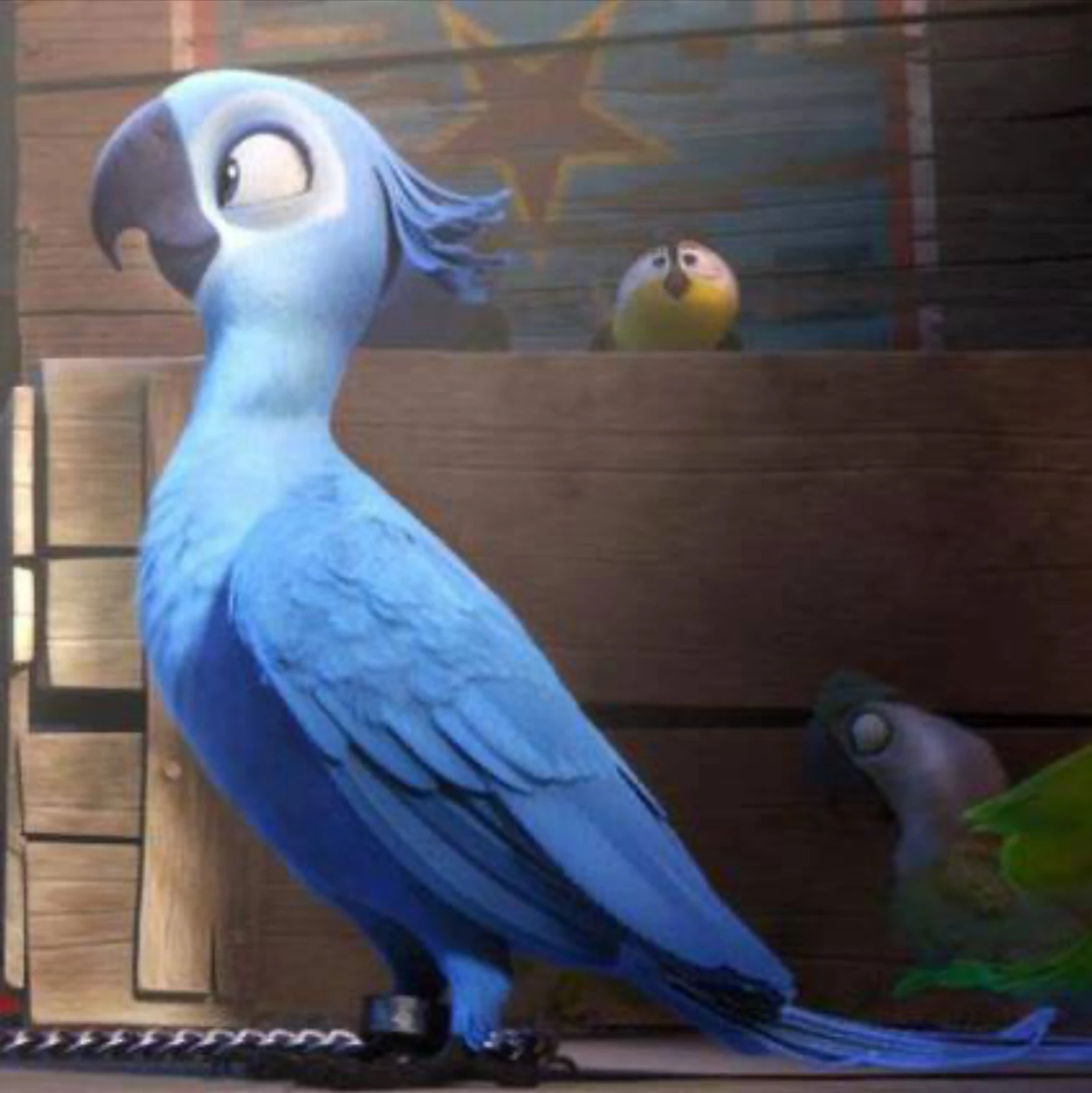 User blog:Bella kim/My new idea | Rio Wiki | Fandom