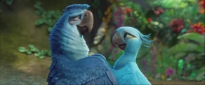 User blog:Rio fan/New Rio 2 Clip "Family Jewels" Behind the Scenes ...