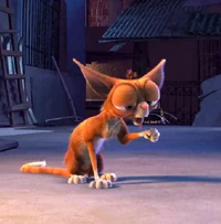 Gato | Rio Wiki | Fandom