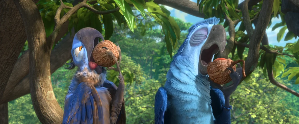 It's A Jungle Out Here | Rio Wiki | Fandom