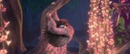 Rapping Sloth | Rio Wiki | Fandom