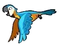 Blue-and-gold macaw | Rio Wiki | Fandom
