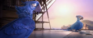 Julia | Rio Wiki | Fandom