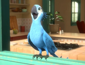 Perla | Wiki Río | Fandom