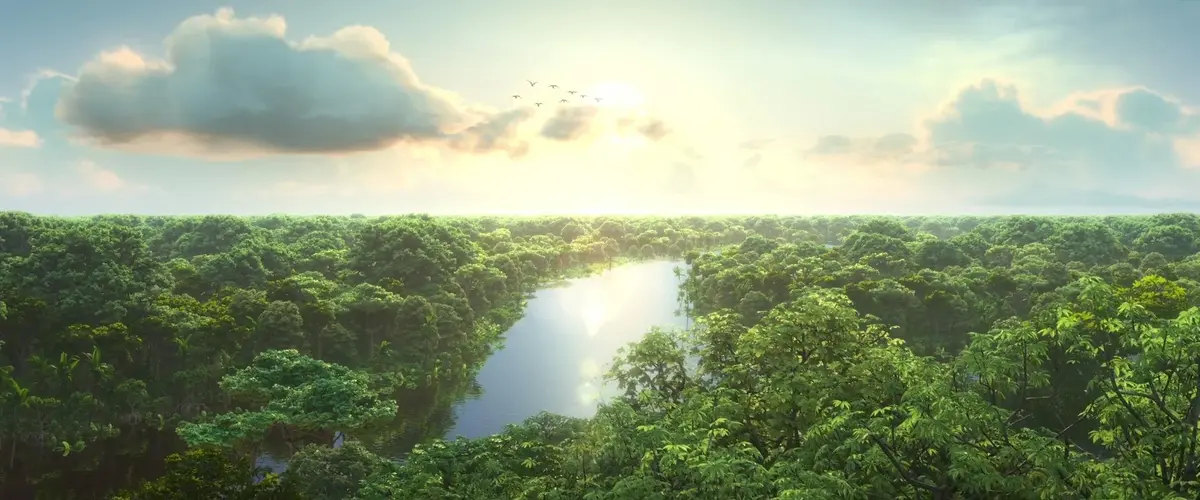 Rzeka Carecuru | Rio Wiki | Fandom