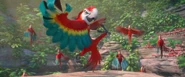Red Macaw Tribe | Rio Wiki | Fandom
