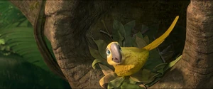 Golden conure | Rio Wiki | Fandom