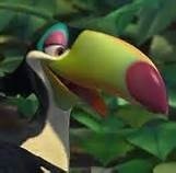 Toucan Family | Rio Wiki | Fandom