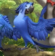 Rio 2 Robertos Secret
