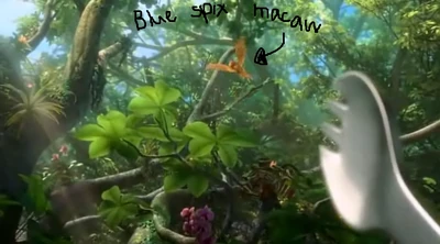 User blog:Mr.Blue Bird/About blue spix macaws in Rio 2 | Rio Wiki | Fandom