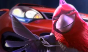 Pedro | Rio Wiki | Fandom