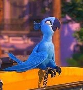 Perla | Wiki Río | Fandom