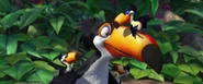 Toucan Family | Rio Wiki | Fandom