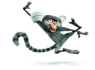 Marcel (marmozet) | Rio Wiki | Fandom