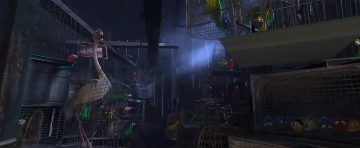 Aves engaioladas | Rio Wiki | Fandom