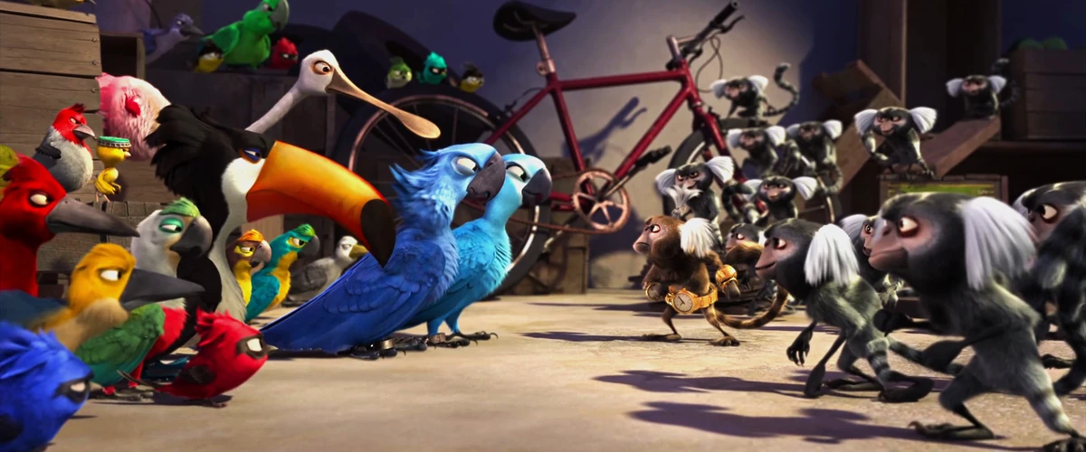 Bird Fight | Rio Wiki | Fandom