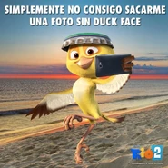 Nico | Wiki Río | Fandom