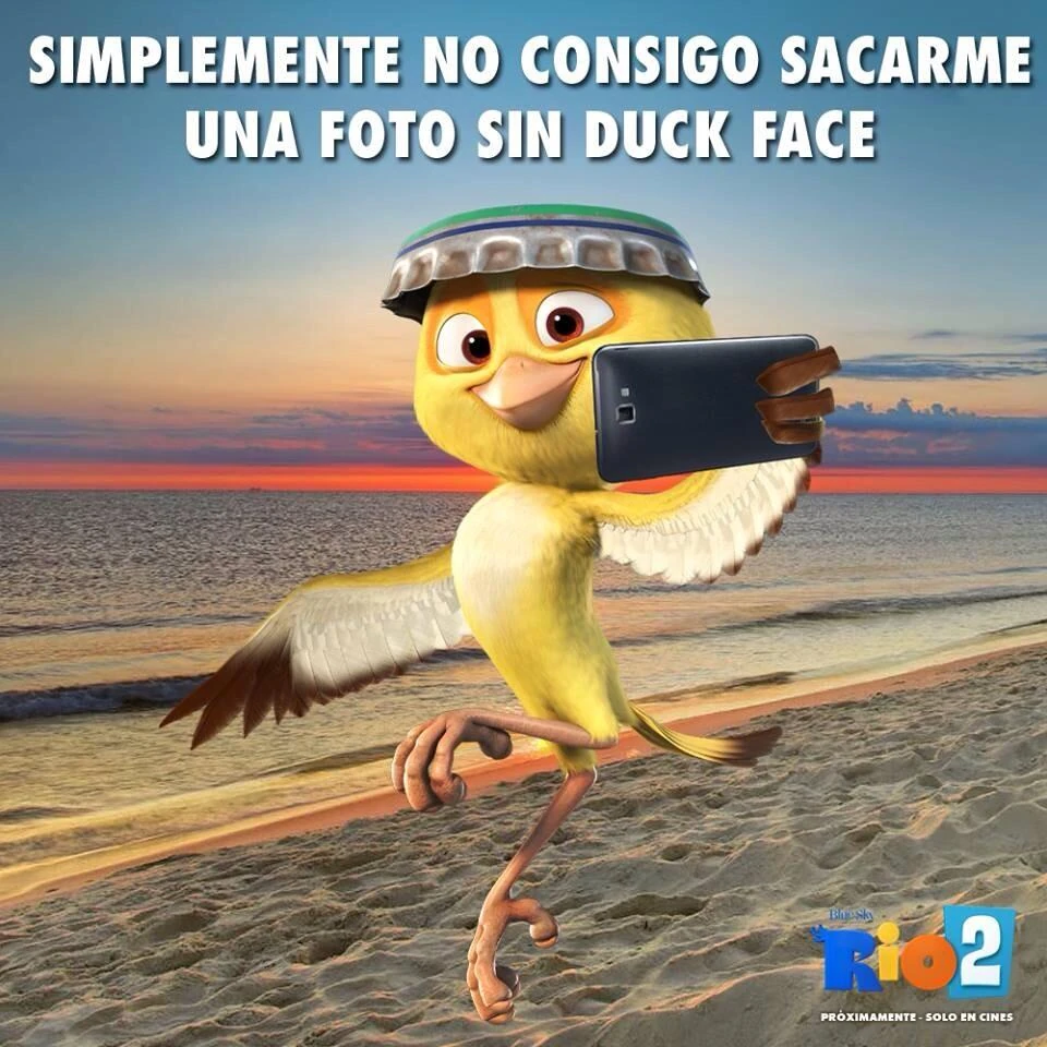 Nico | Wiki Río | Fandom