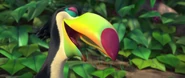 Toucan Family | Rio Wiki | Fandom
