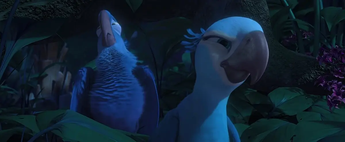 Tijuca-Wald | Rio Wiki | Fandom