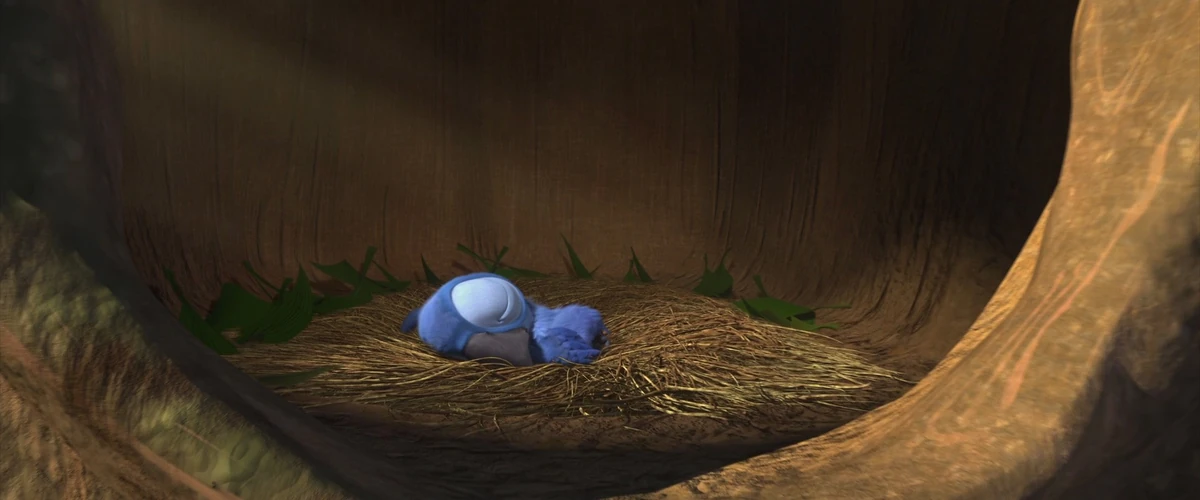 Blu/Gallery | Rio Wiki | Fandom