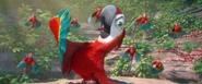 Red Macaw Tribe | Rio Wiki | Fandom