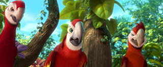 Scarlet macaw | Rio Wiki | Fandom