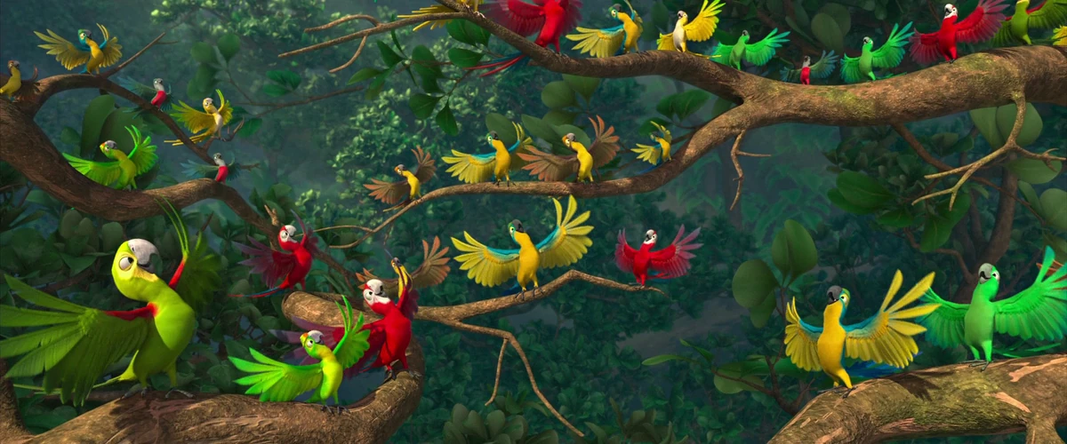 Rainforest | Rio Wiki | Fandom