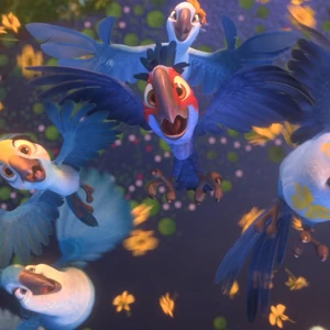 Discuss Everything About Rio Wiki | Fandom