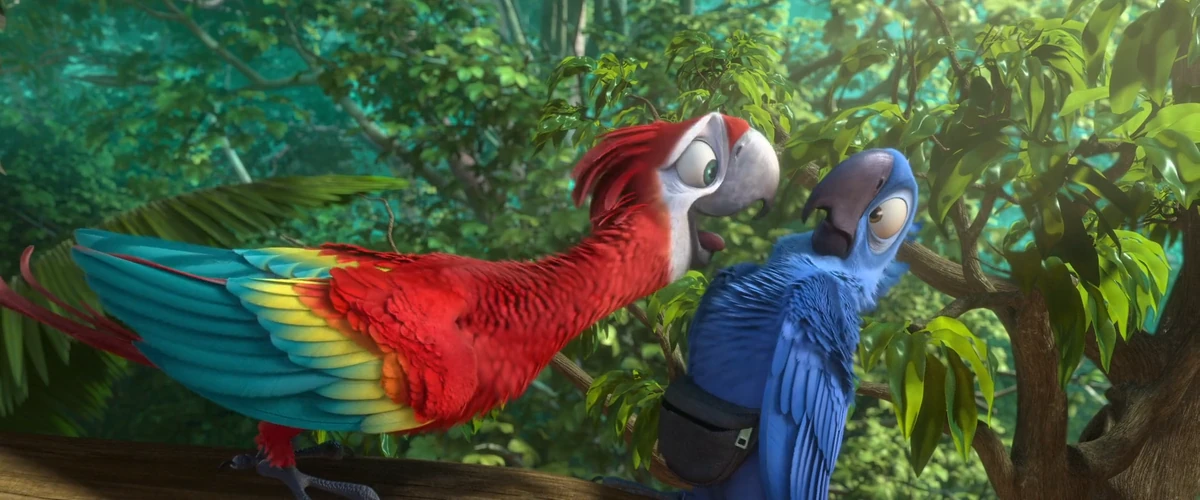 Felipe/Gallery | Rio Wiki | Fandom