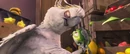 Nigel/Galeria | Rio Wiki | Fandom