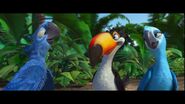 Rio (Film) | Rio Wiki | Fandom