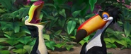 Toucan Family | Rio Wiki | Fandom