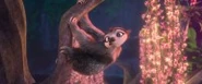 Rapping Sloth | Rio Wiki | Fandom