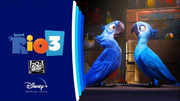 Rio 3 | Wiki Río | Fandom