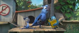 Tiago | Rio Wiki | Fandom