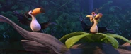 Toucan Family | Rio Wiki | Fandom