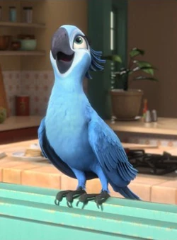 Perla | Wiki Río | Fandom