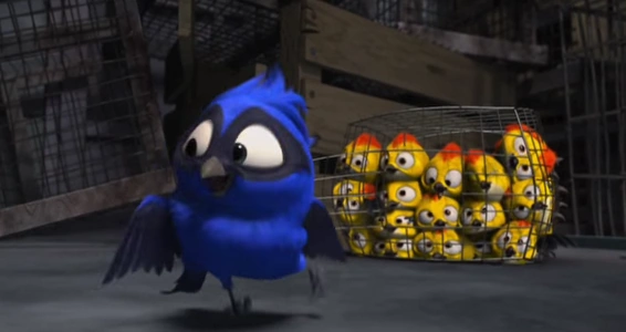 Blauer Käfigvogel | Rio Wiki | Fandom