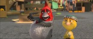 Pedro | Rio Wiki | Fandom