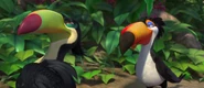 Toucan Family | Rio Wiki | Fandom