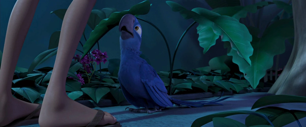 Bagged and Missing | Rio Wiki | Fandom