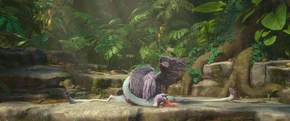Greater rhea | Rio Wiki | Fandom