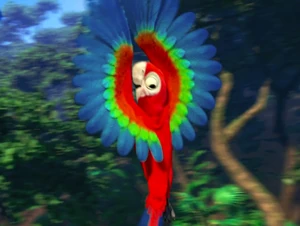 Green Winged Macaw | Rio Wiki | Fandom