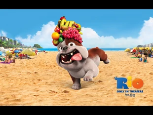 Luiz | Rio Wiki | Fandom