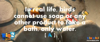 Rio 2: 10 years 10 facts to celebrate Rio 2 | Rio Wiki | Fandom