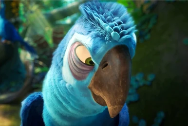 Rio 2 Robertos Secret