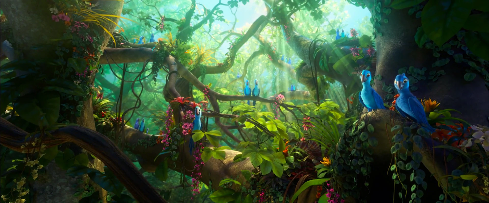 Spix's Macaw Tribe | Rio Wiki | Fandom